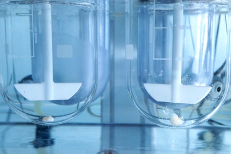 Understanding the Drug Stability Testing Process